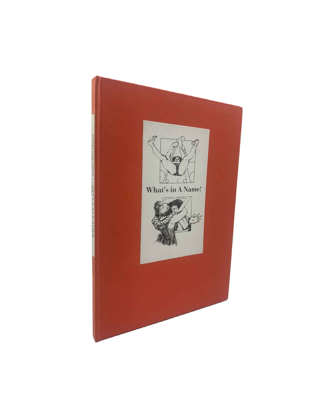 Annie Newnham First Edition - SIGNED What's in a Name ! - Cheltenham ...