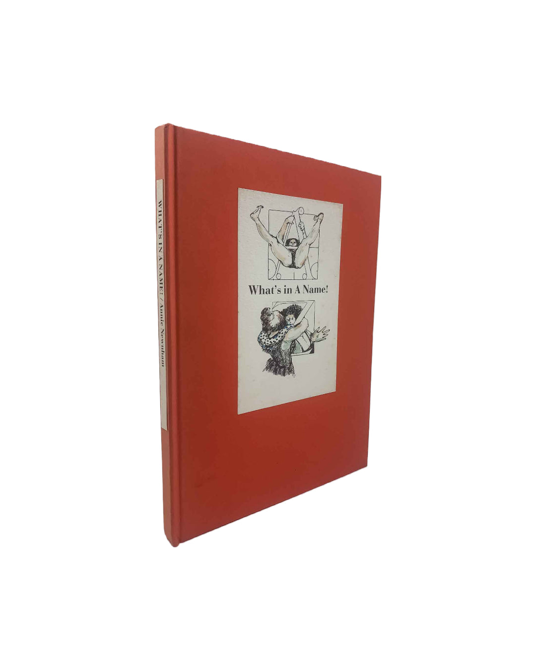 Annie Newnham First Edition - SIGNED What's in a Name ! – Cheltenham ...